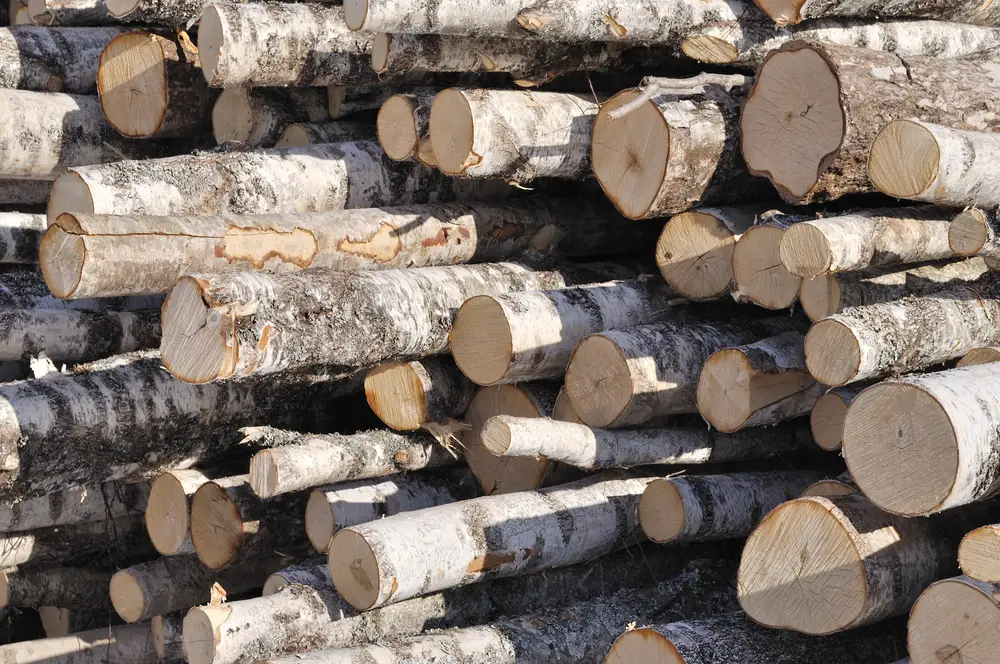 What size log splitter do I need? - A Comprehensive Guide ...